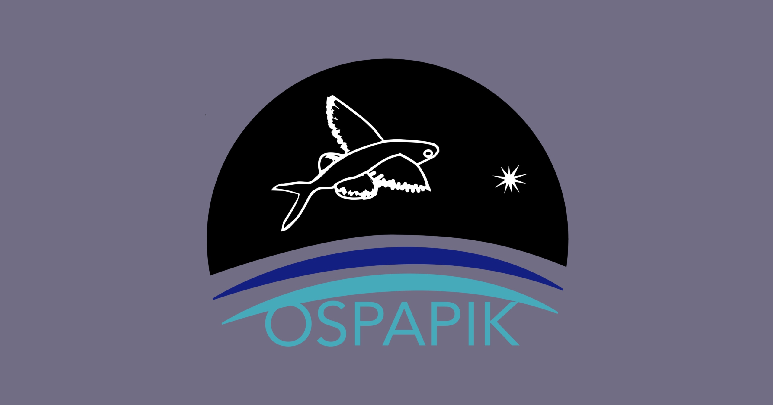 Home - OSPAPIK